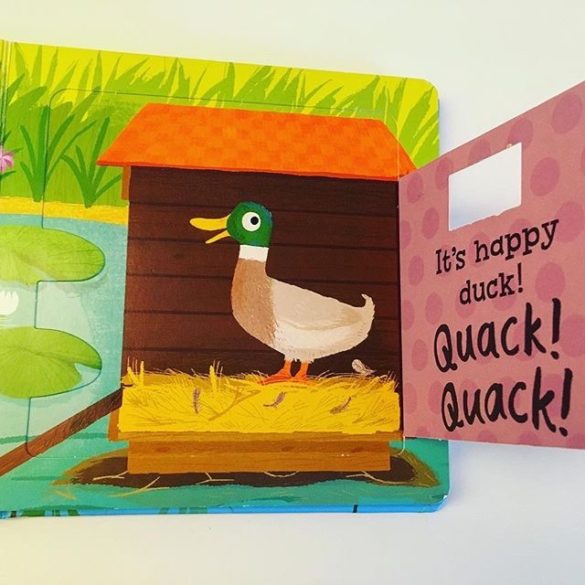 sturdy lift-the-flap-books | The Little Adventurer