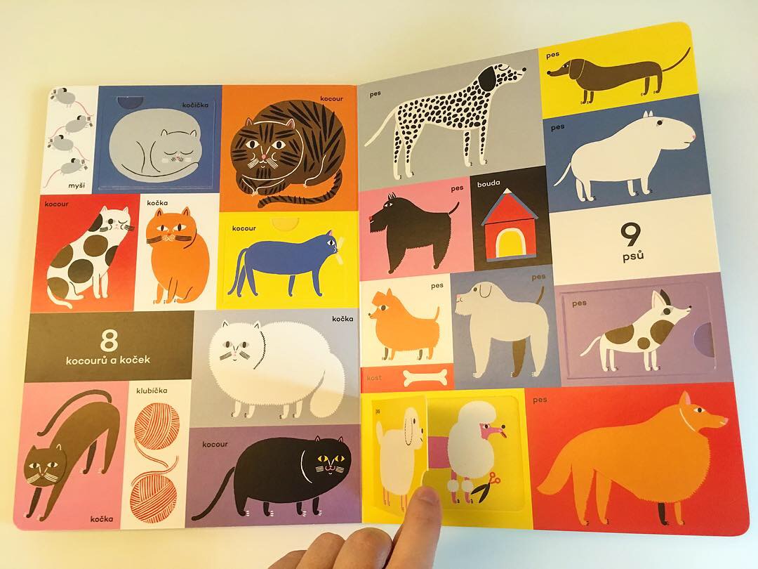 sturdy lift-the-flap-books | The Little Adventurer